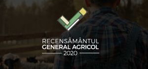 Comuna Cefa | Official Website